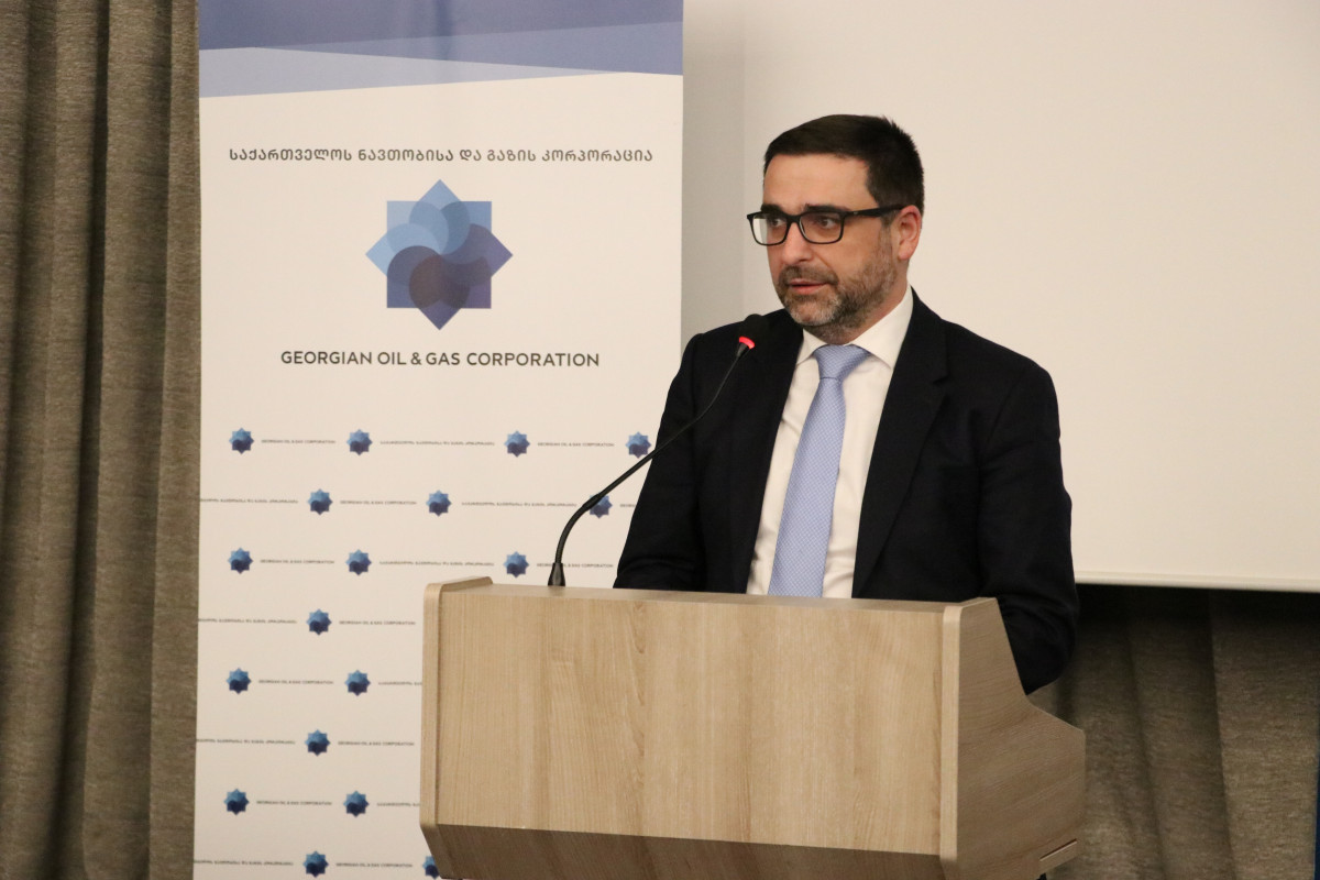 George Chikovani: 'GOGC successfully introduces gender equality principles and high standards of ...